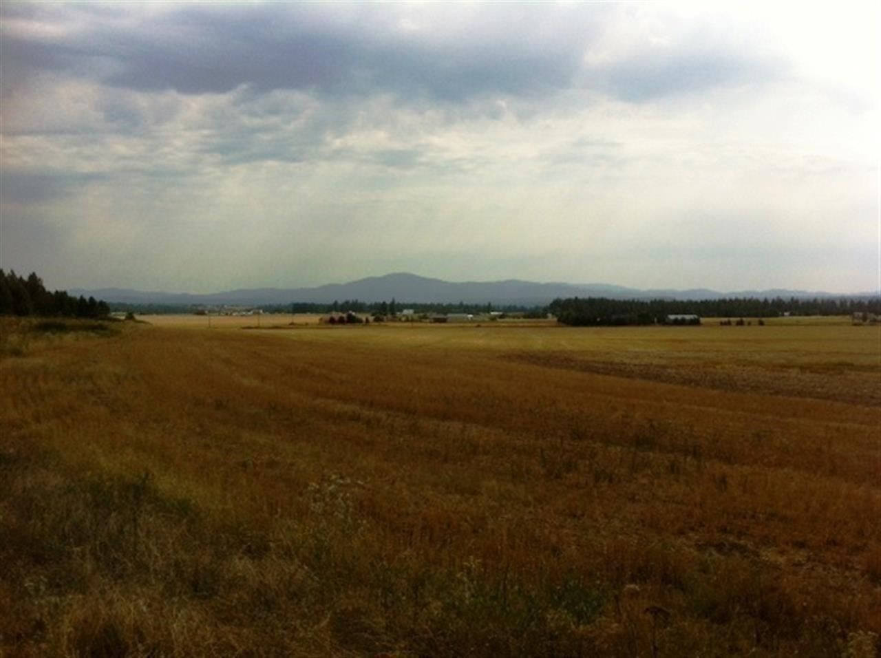 MLS#201625582: Tract P W Cross Cut Rd, Deer Park, WA 99006