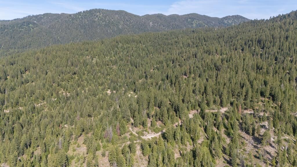 MLS#543212: Tbd 2 Warm Lake Road, Cascade, ID 86311